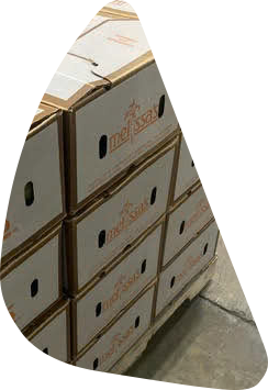 Home - CPG Core Packaging